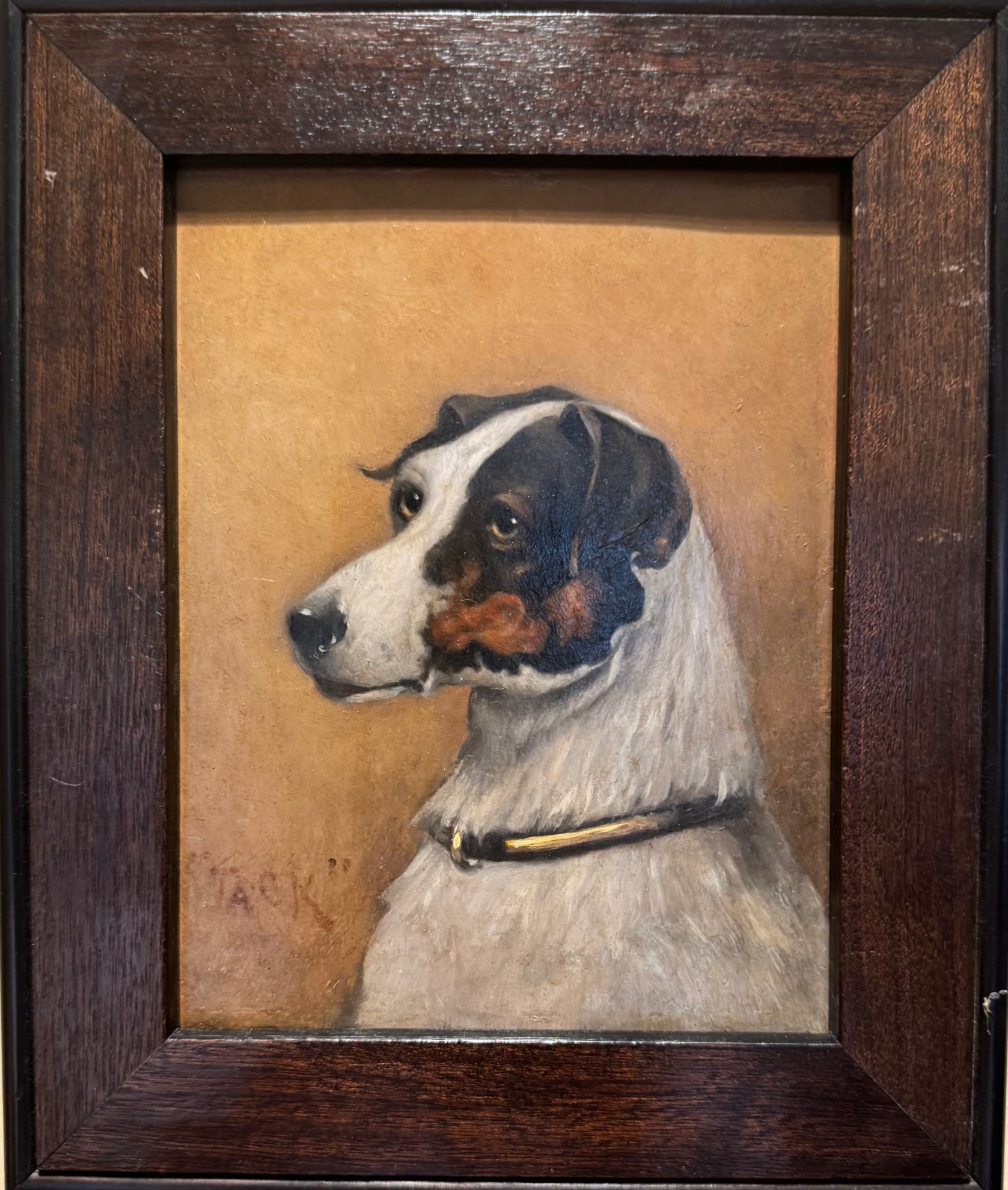 Jack - THE DOG IN ART